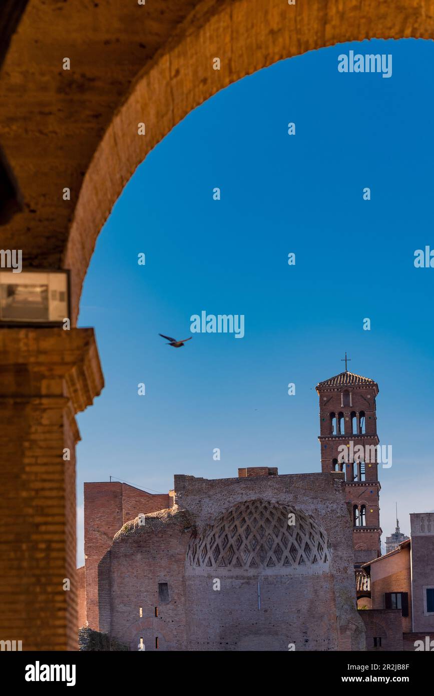 The temple of Venus and Mars seen under the columns of the Colosseum in ...