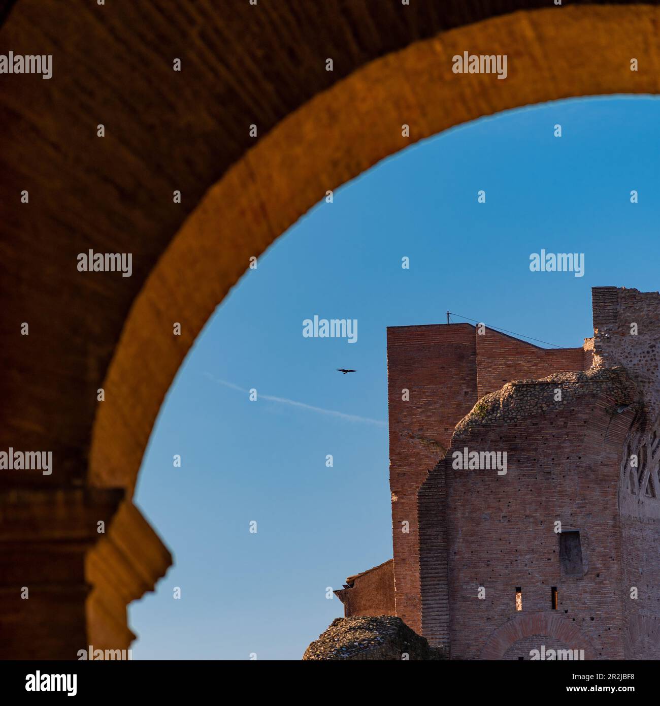 The temple of Venus and Mars seen under the columns of the Colosseum in ...