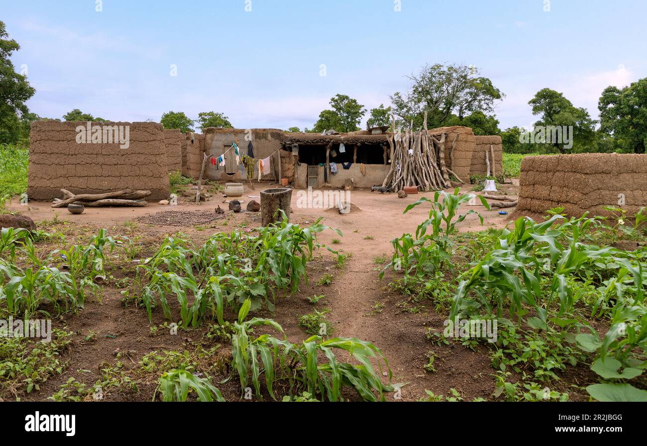 Aberewanko, traditional Lobi family kraal in mud building architecture ...