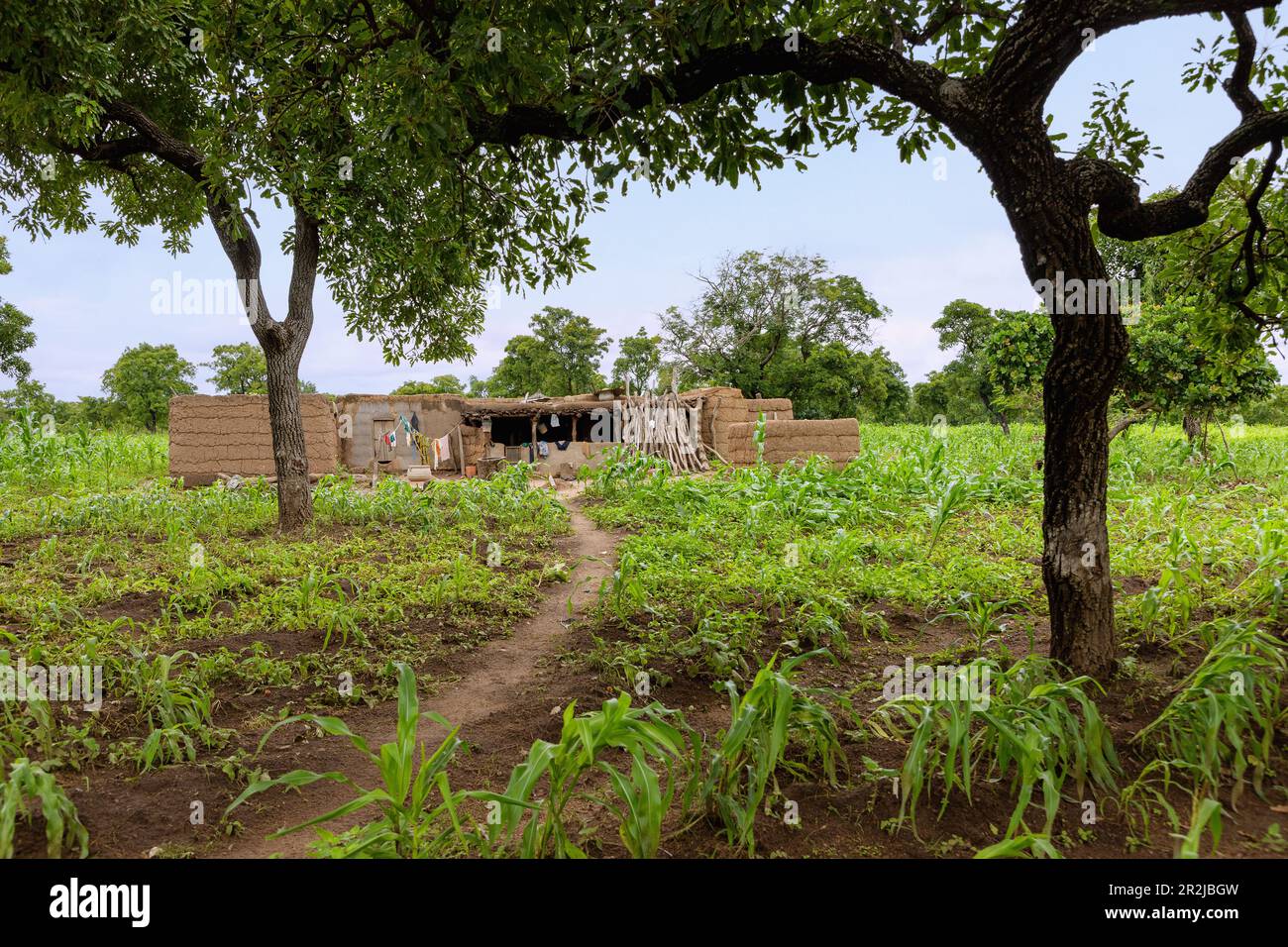 Aberewanko, traditional Lobi family kraal in mud building architecture ...