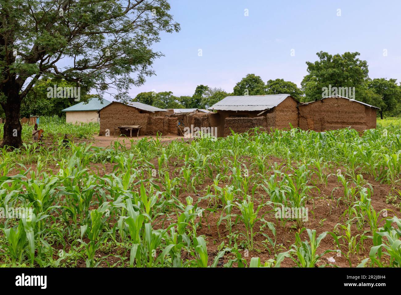 Aberewanko, traditional Lobi family kraal in mud building architecture ...