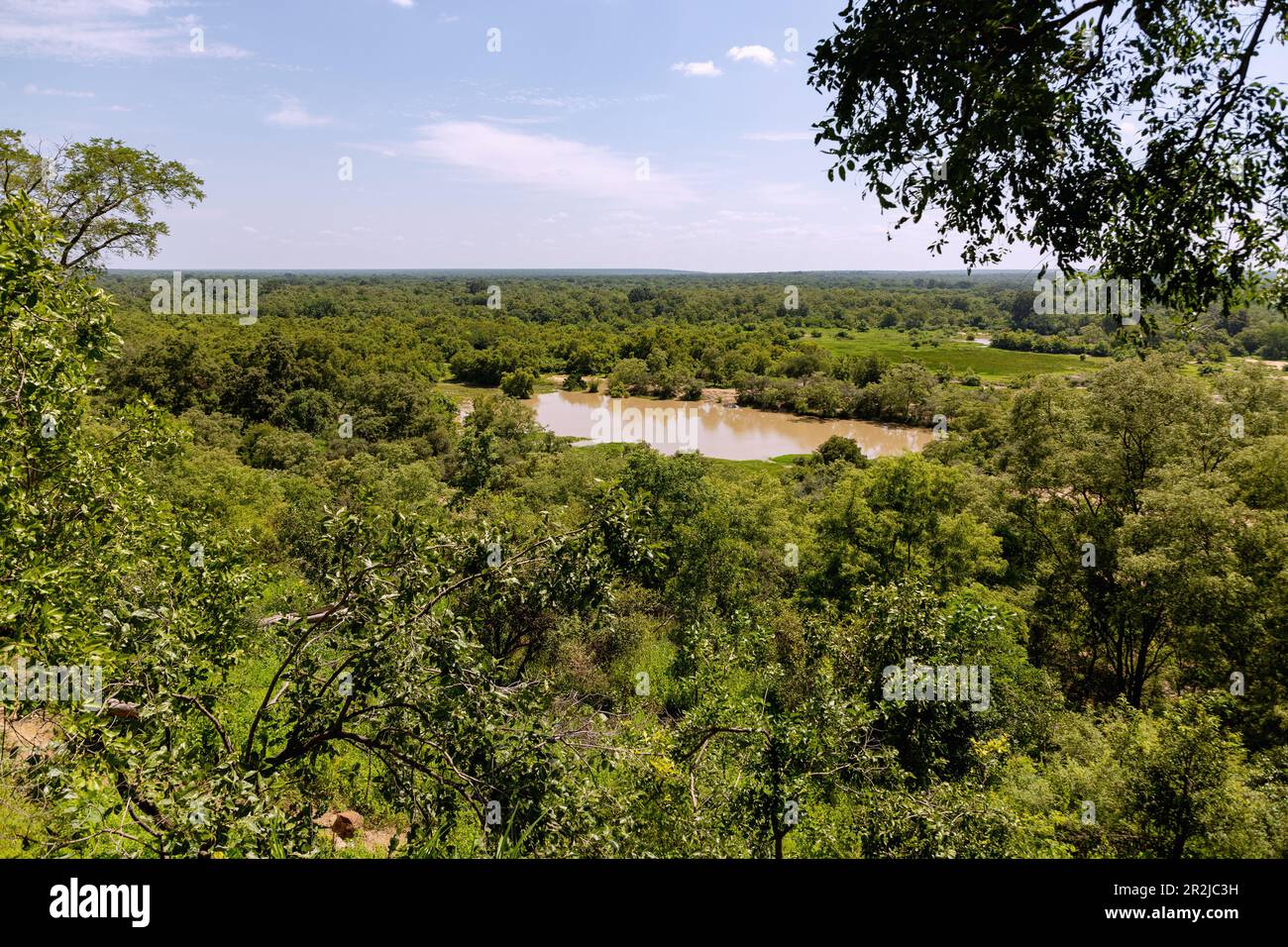 View over the savannah and large waterhole in Mole National Park in the ...