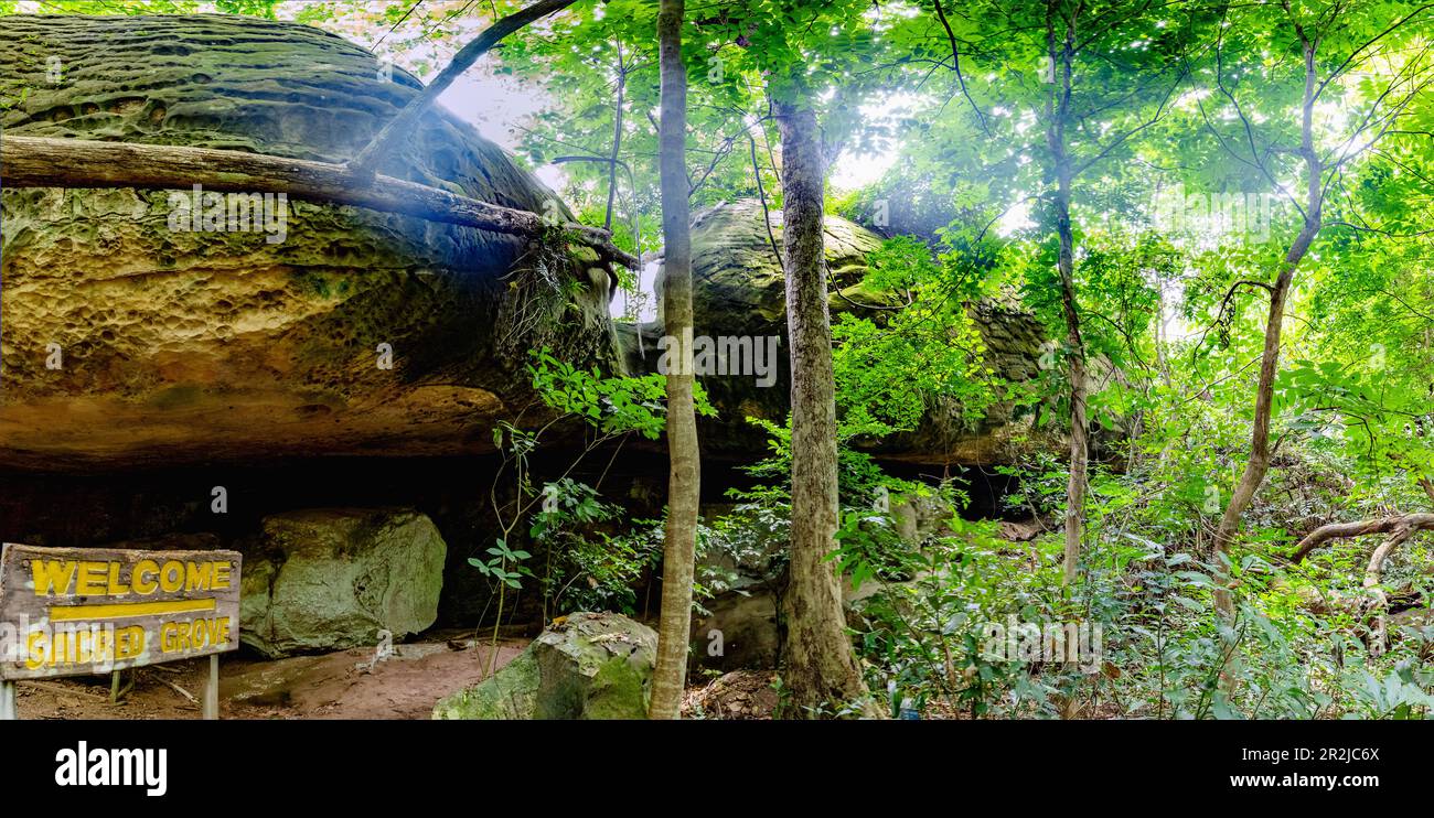 Sacred Grove of Tanoboase in the historic Brong Ahafo Region in the ...