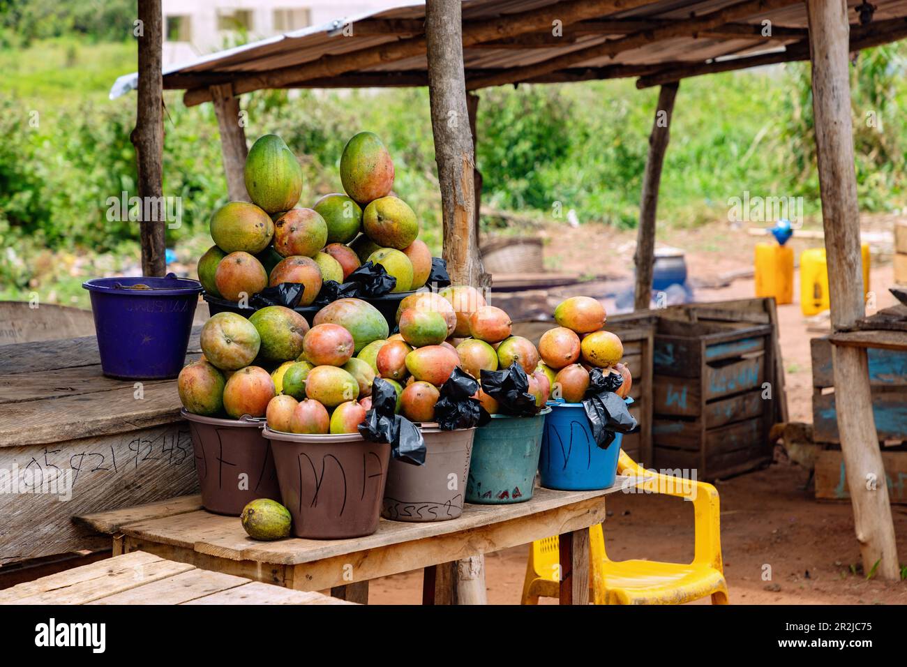Stalls selling mangoes at Techiman in the Bono East region of eastern Ghana in West Africa Stock ...
