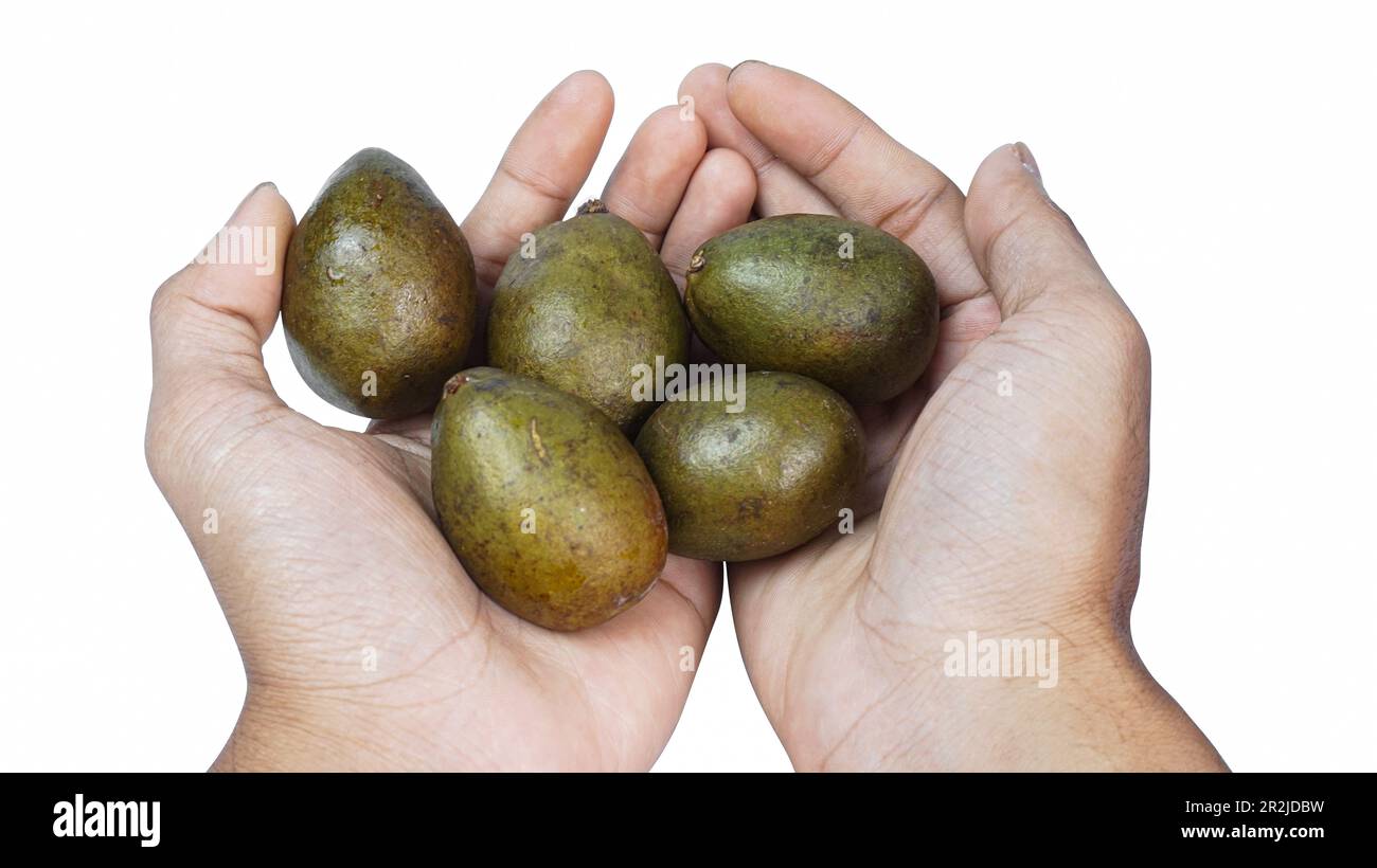 Matoa fruit isolated on white background Stock Photo - Alamy