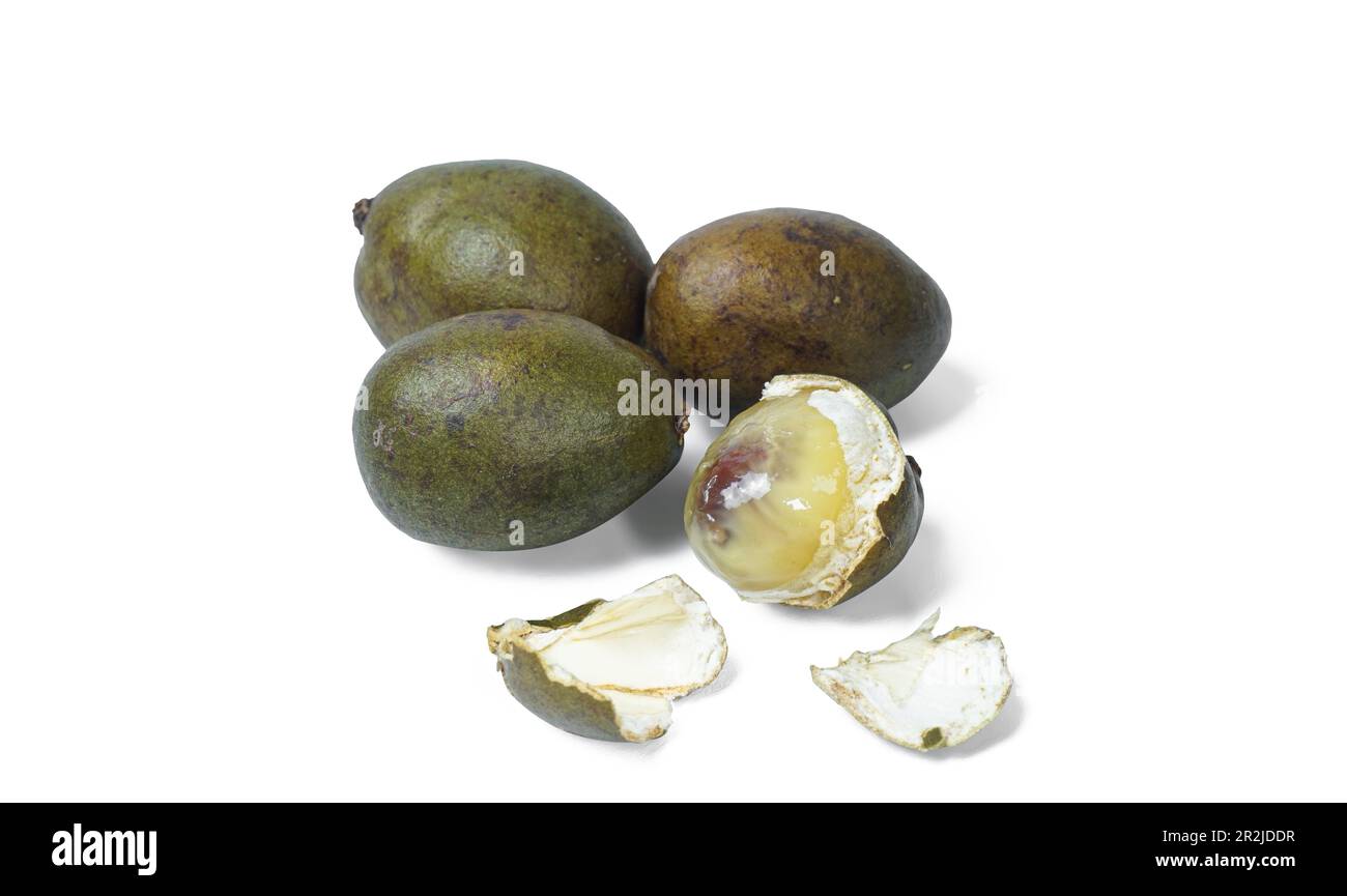 Matoa tree hi-res stock photography and images - Alamy