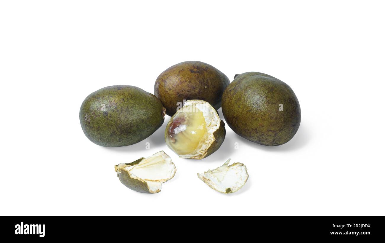 Matoa tree hi-res stock photography and images - Alamy