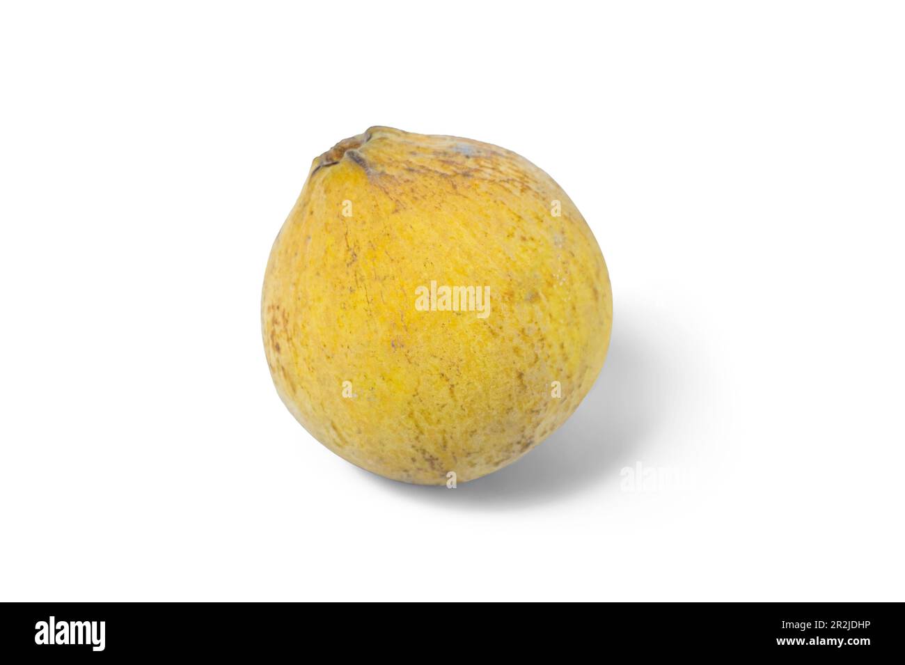 Fresh Yellow Sentol fruit isolated on white background Stock Photo - Alamy