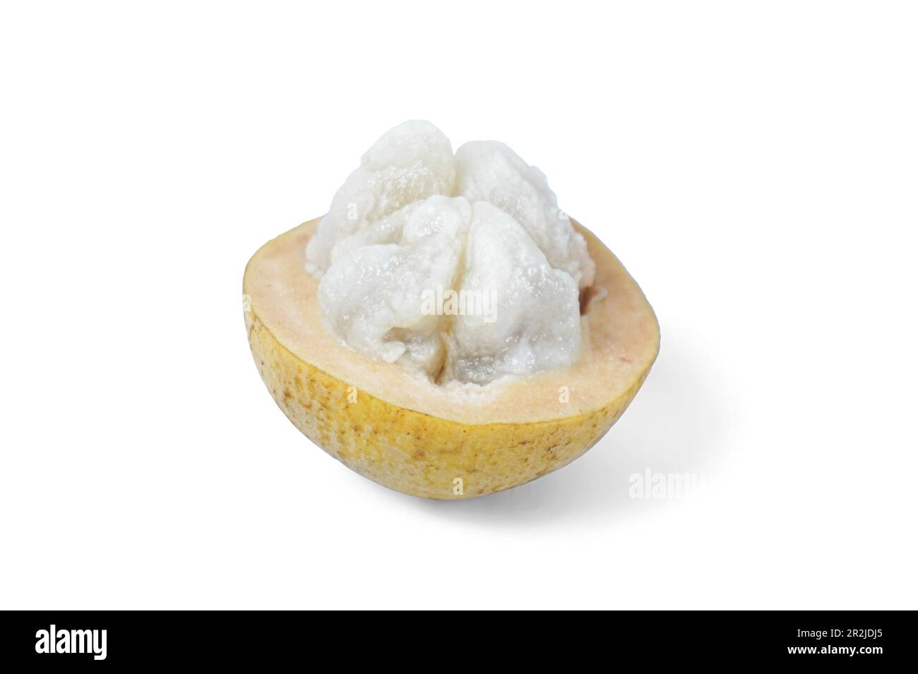 Fresh Yellow Sentol fruit isolated on white background Stock Photo - Alamy