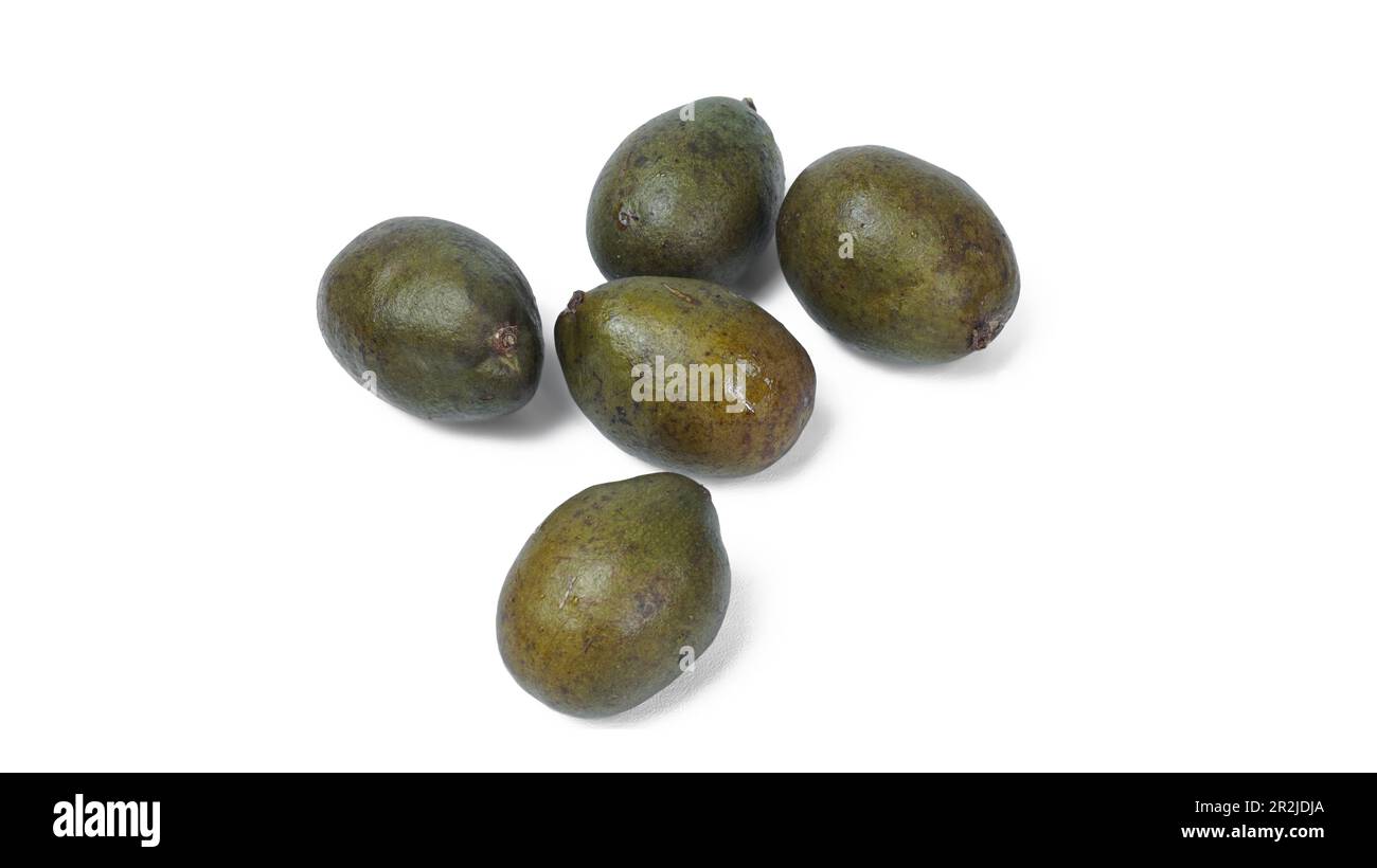 Matoa tree hi-res stock photography and images - Alamy