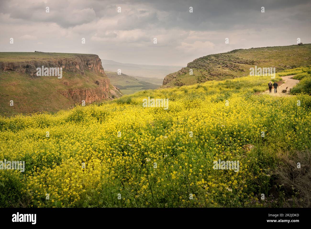 Rocky and green landscape at the Sea of Galilee, Israel, Middle East ...