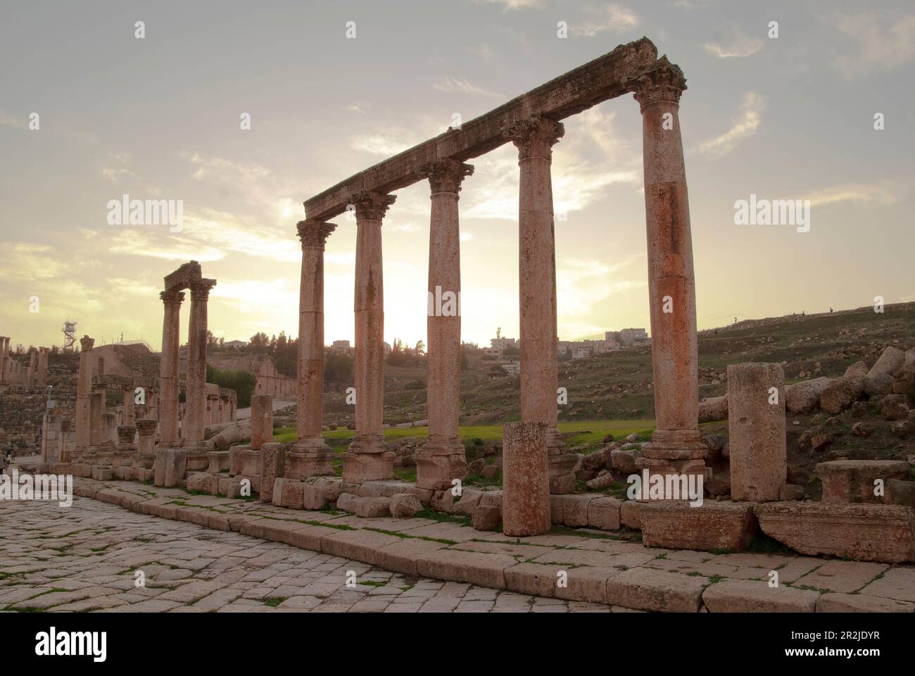 Roman Colonnaded Streets at Gerasa in Jordan Stock Photo - Alamy