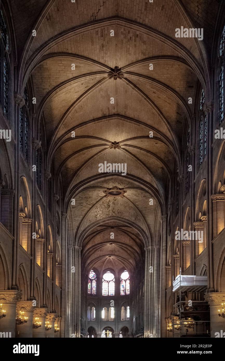 Cross vault in Notre-Dame de Paris cathedral, Paris capital, Ile-de ...