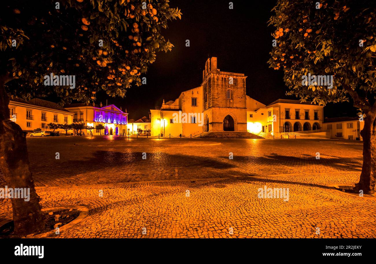 Orange trees frame Cathedral and Town Hall, Largo de Sé at night, Faro ...