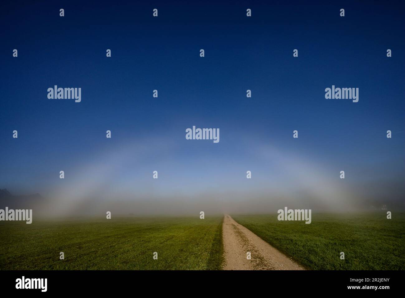 Fog bow, white rainbow in front of a wall of fog in an open field Stock ...