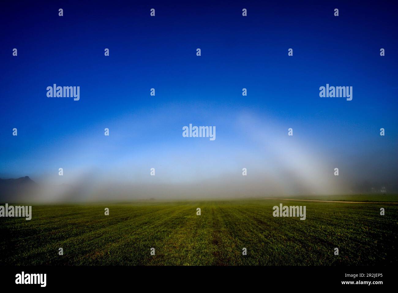 Fog bow, white rainbow in front of a wall of fog in an open field Stock ...
