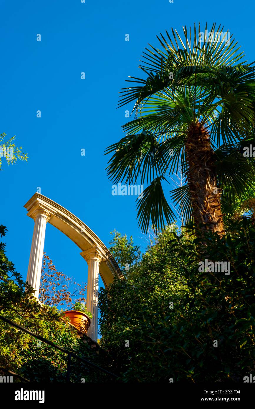 Patio with Column and Palm Tree and Sunlight in Park Scherrer in ...