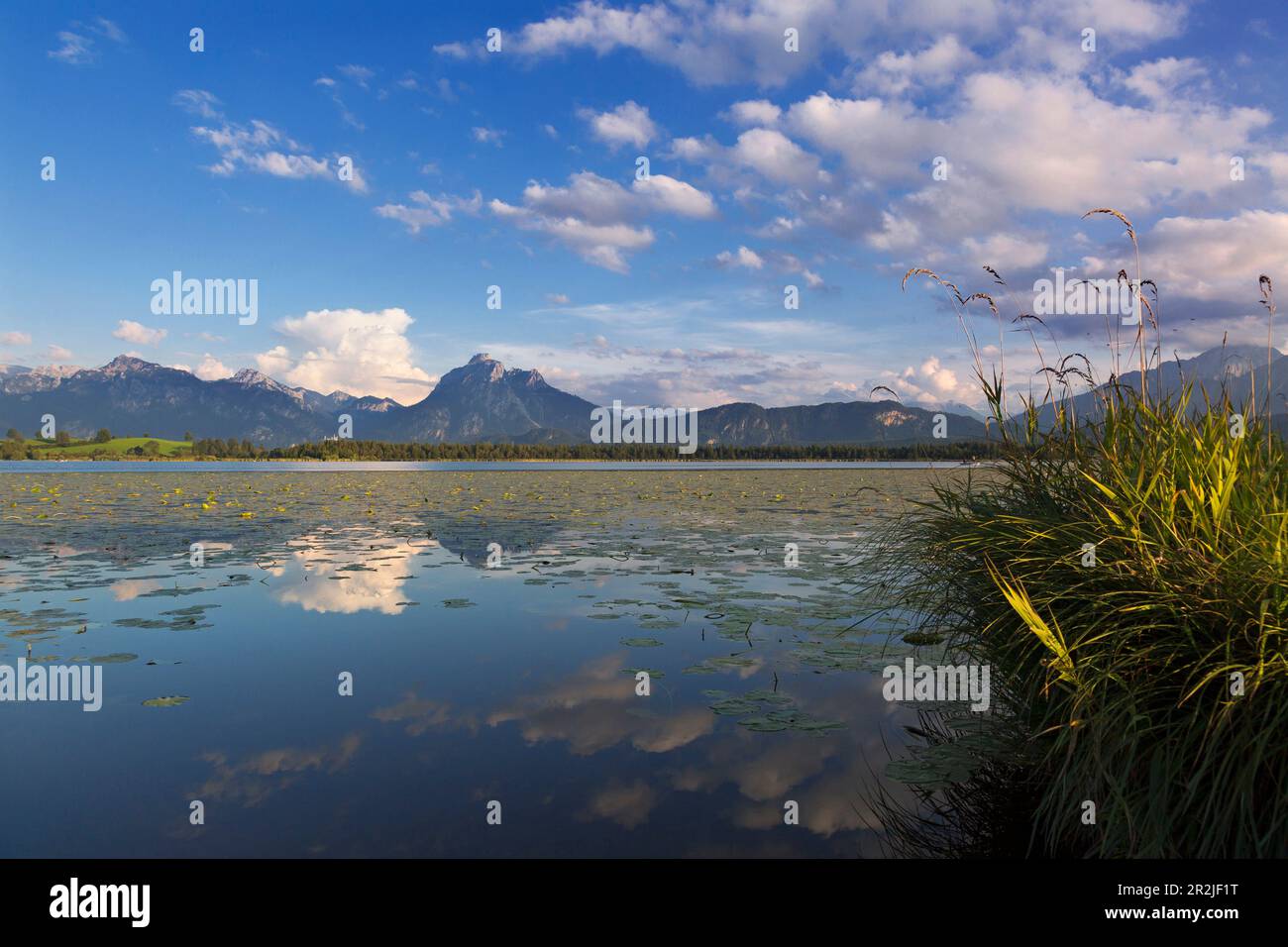 View across the Hopfensee to Neuschwanstein Castle, with Tegelberg and ...