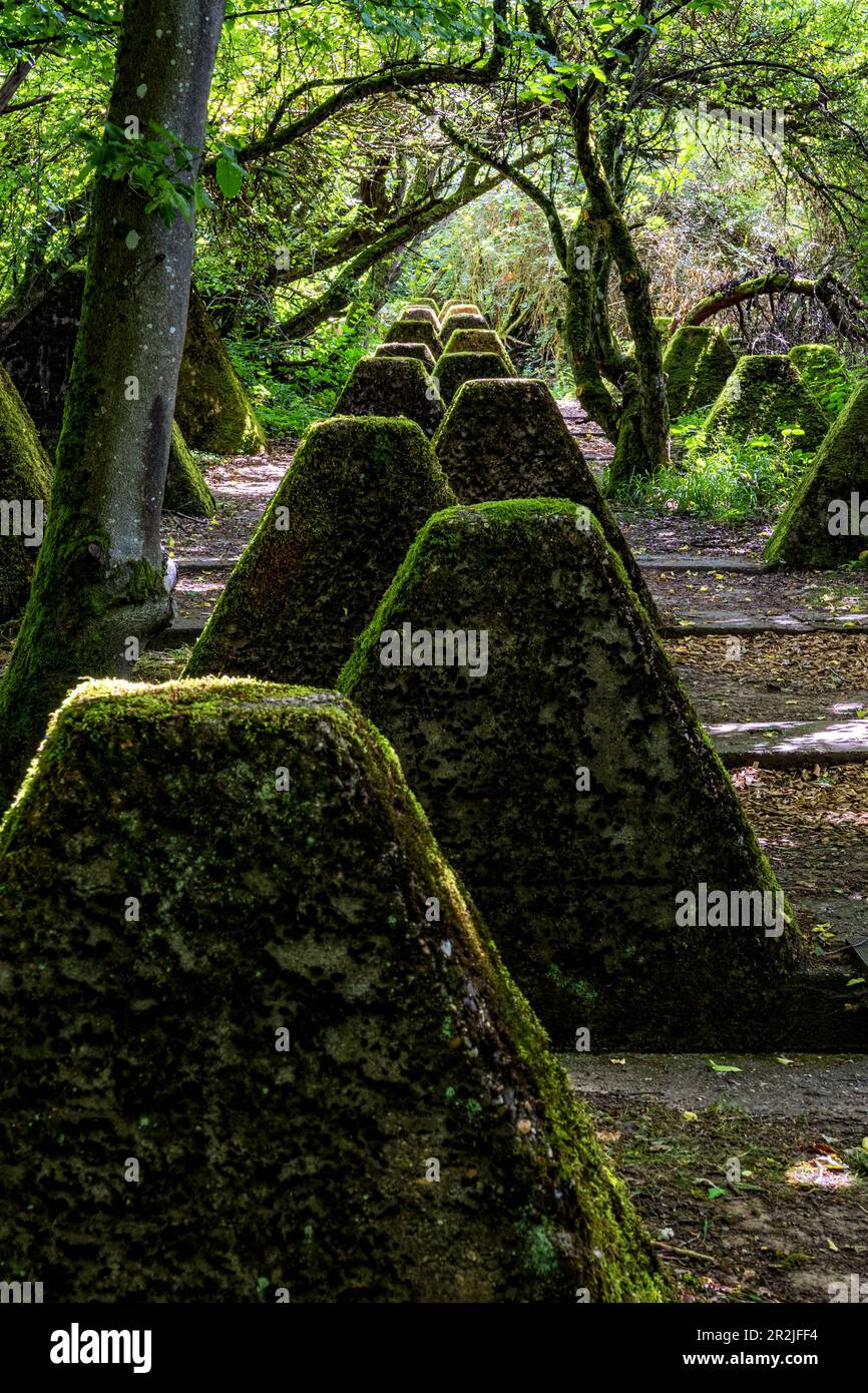 Cusp hi-res stock photography and images - Alamy