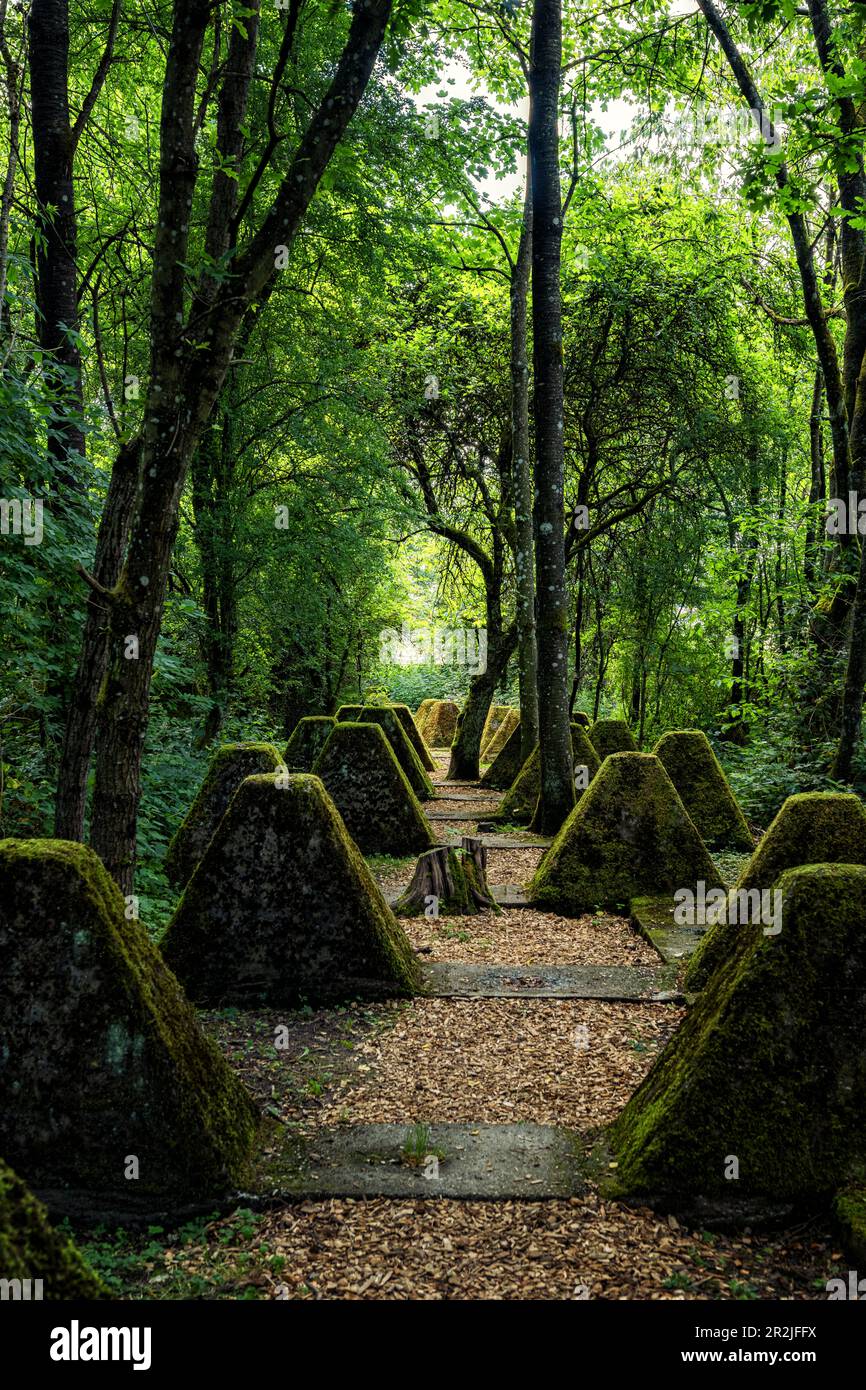 Cusp hi-res stock photography and images - Alamy