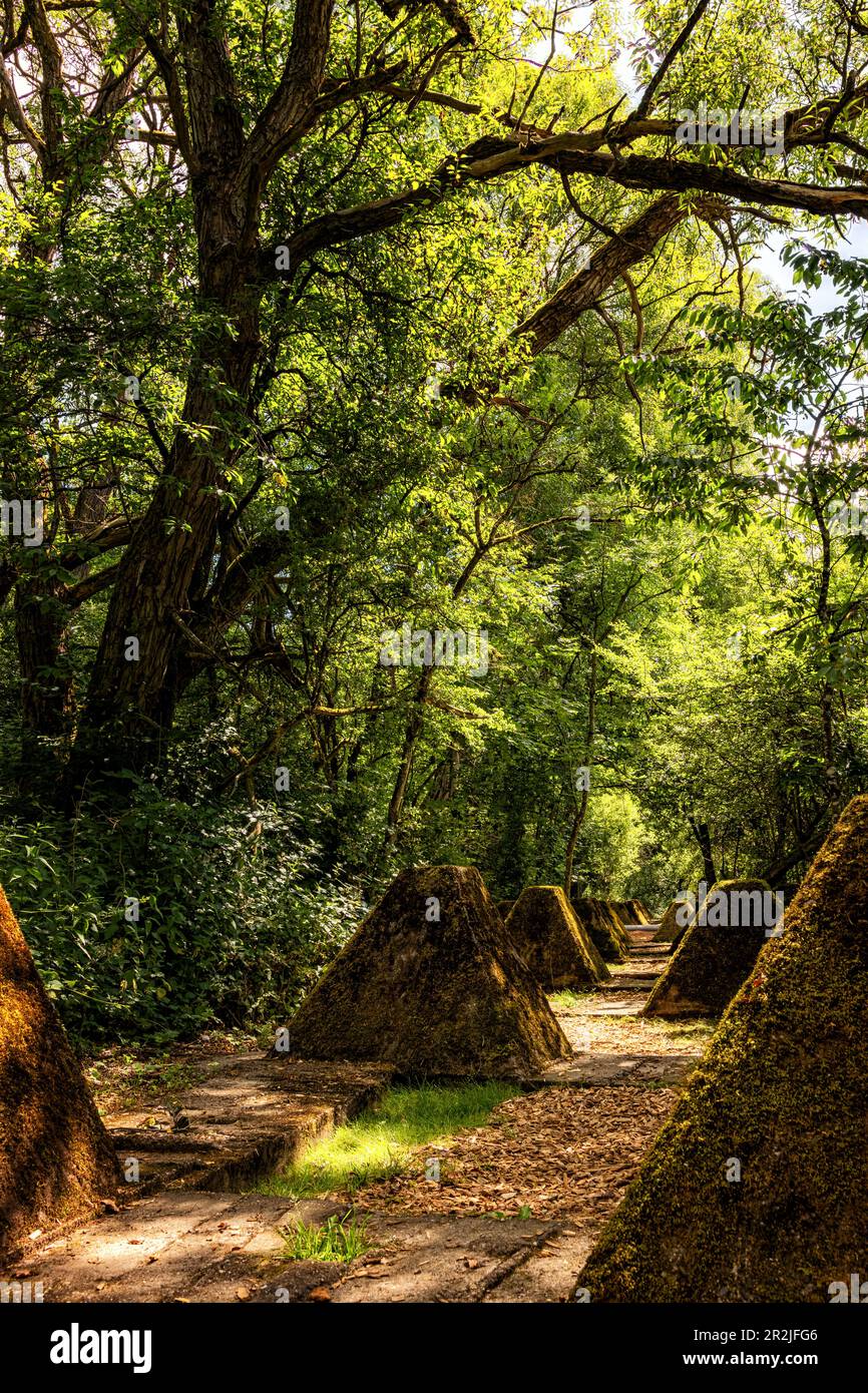 Cusp line path in Orscholz, Saarland, Germany Stock Photo - Alamy