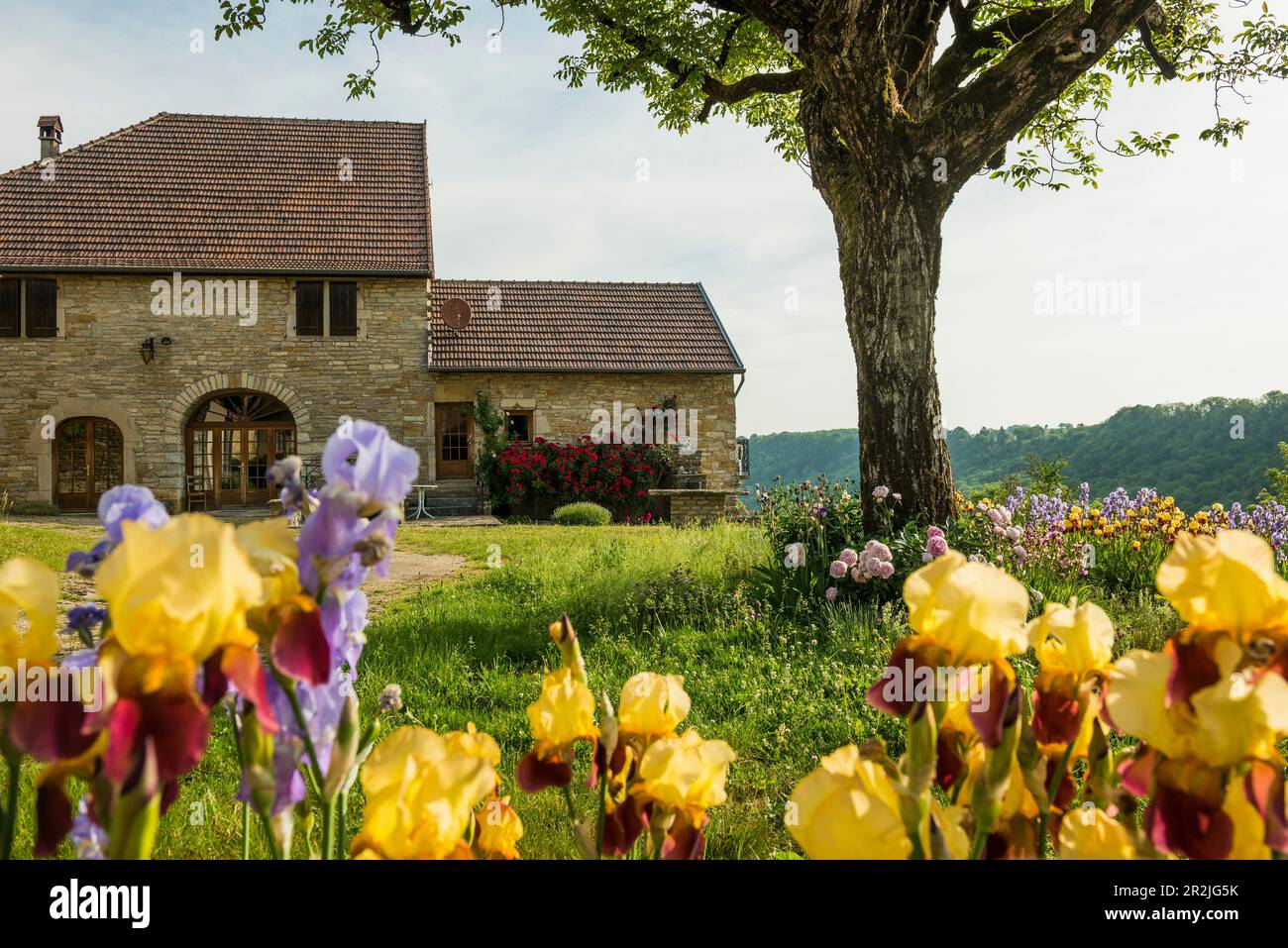 Chateau-Chalon, Plus beaux villages de France, Jura department ...