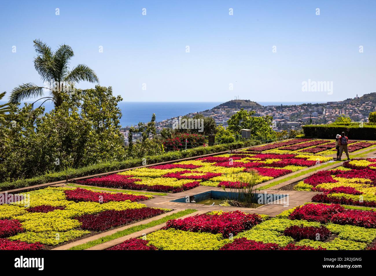 Plant pattern in the Madeira Botanical Gardens, Funchal, Madeira ...