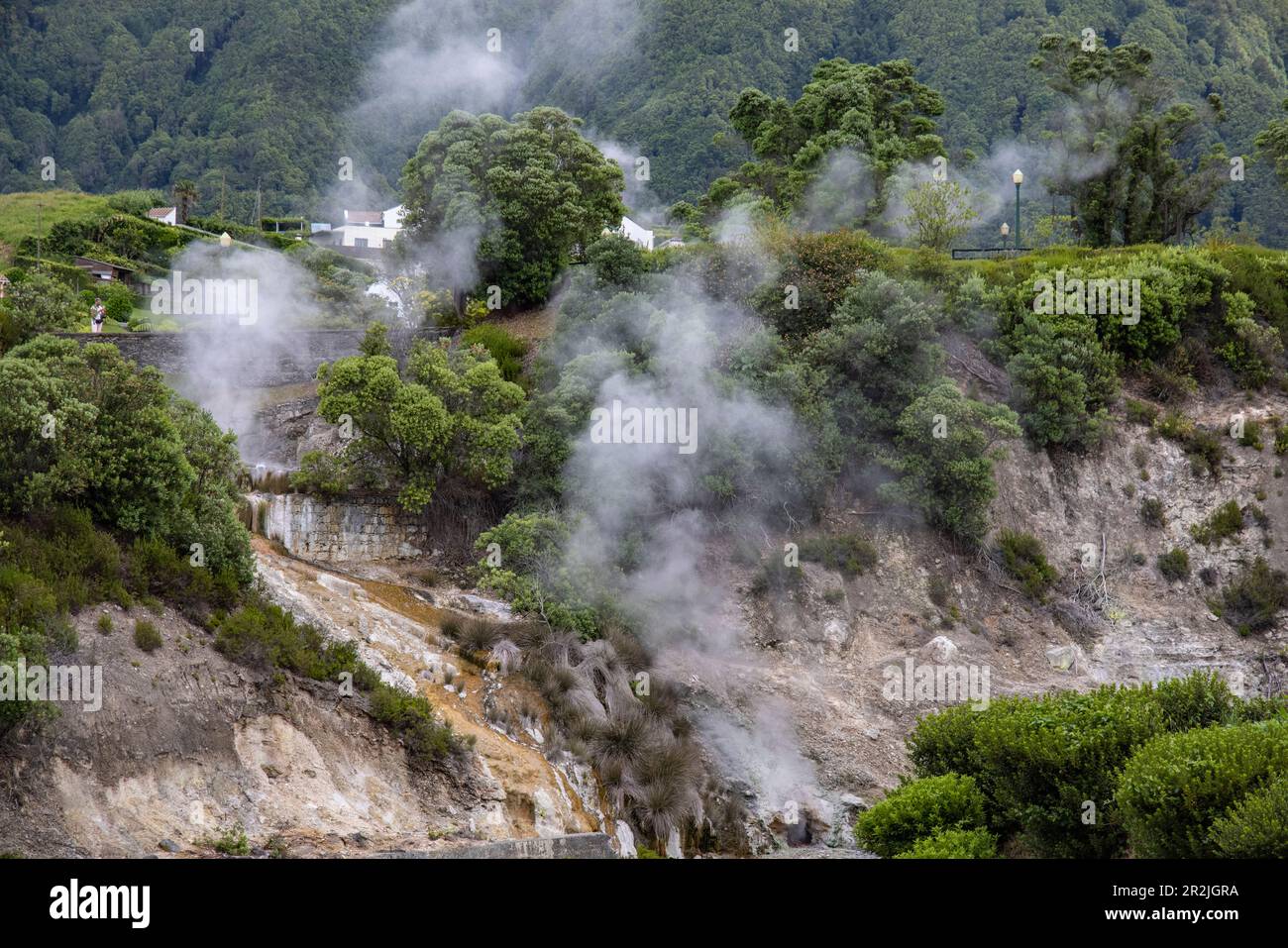 Caldeiras Das Furnas Thermal Area, Furnas, Sao Miguel Island, Azores ...