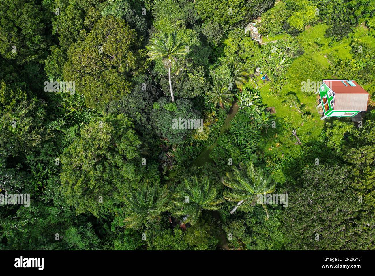 Aerial view of cottage accommodation set in lush gardens at Tower ...