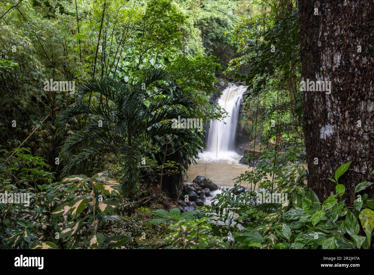 Annandale falls hi-res stock photography and images - Alamy