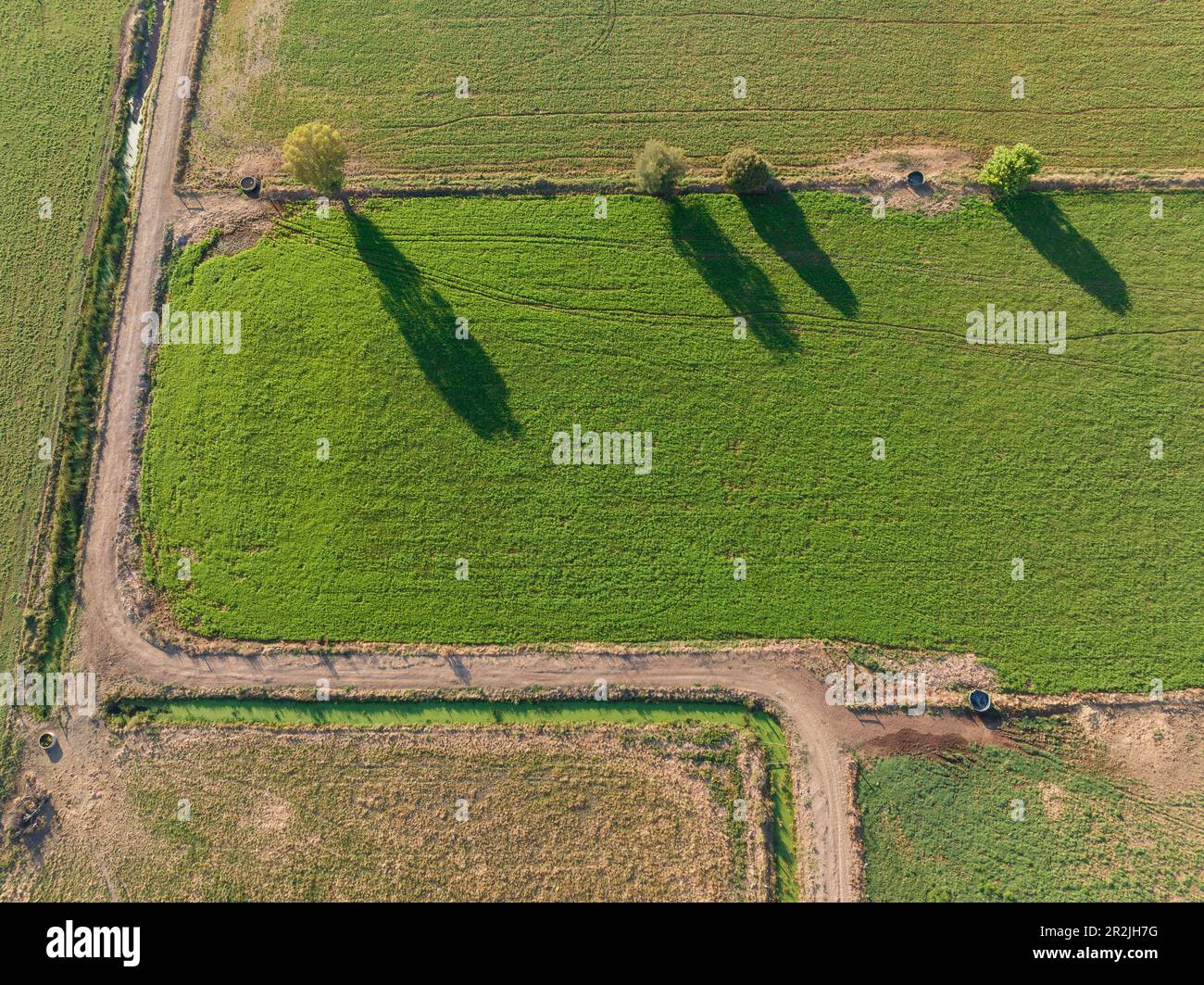 Aerial view of green crops on fields bordered by country roads at ...
