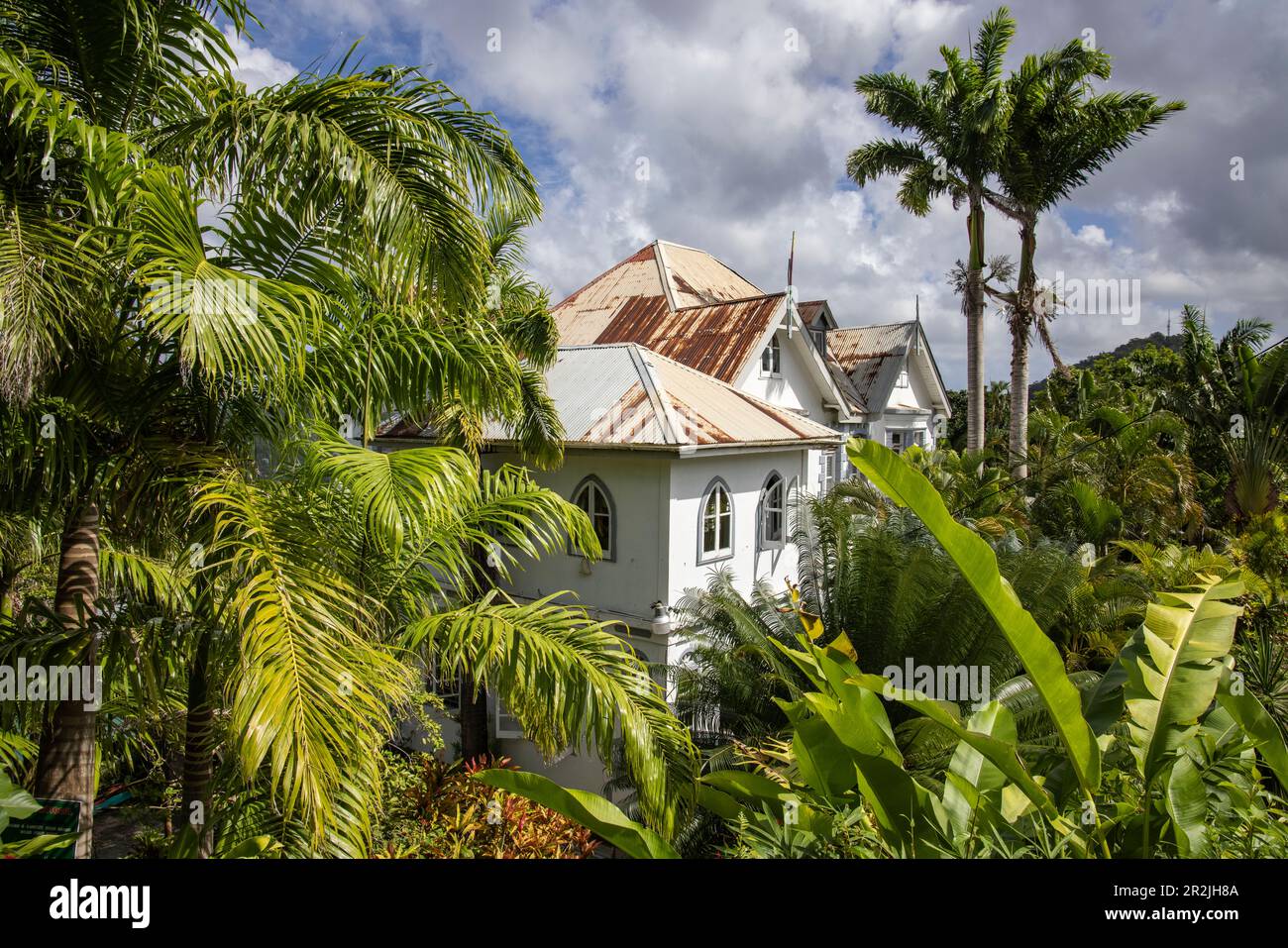 Palm trees and buildings at Howelton Estate, near Castries, St. Lucia ...