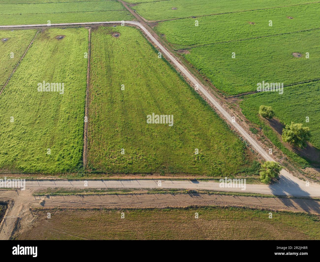 Aerial view of green crops on fields bordered by country roads at ...