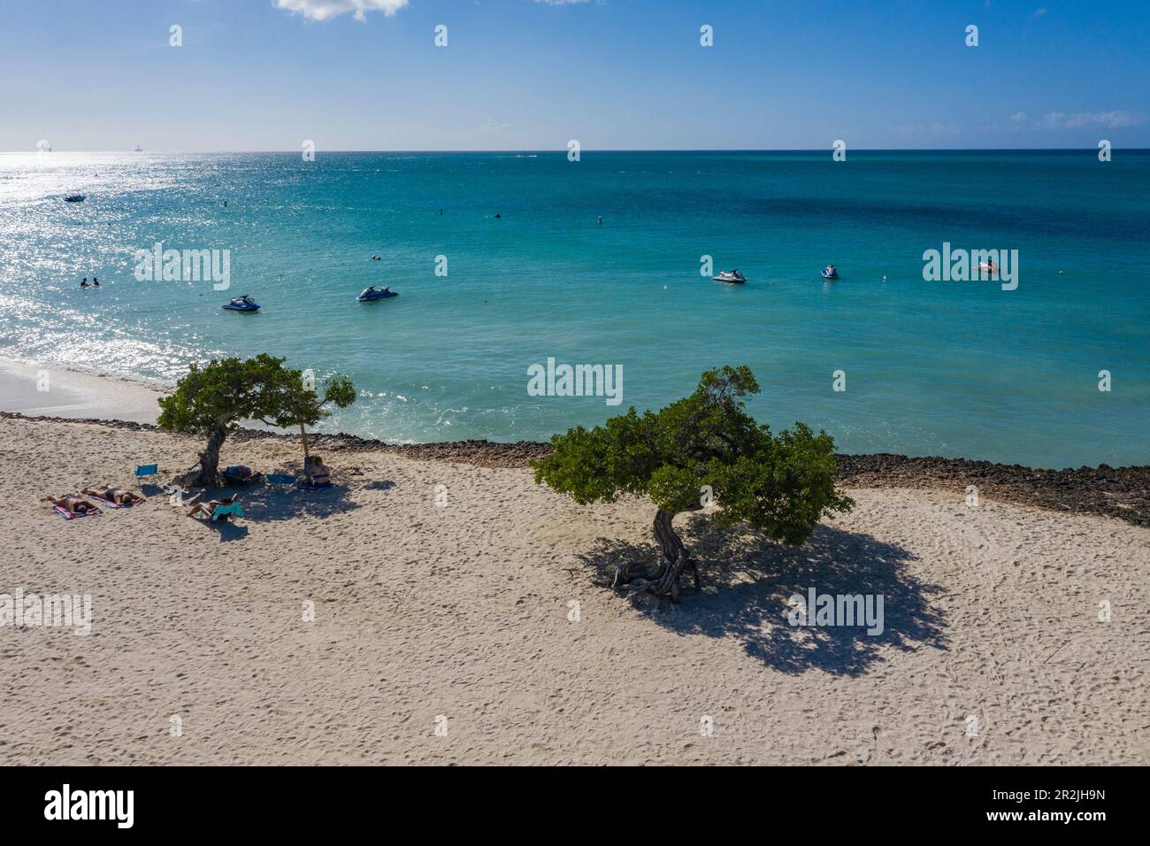 Fofoti trees hi-res stock photography and images - Alamy