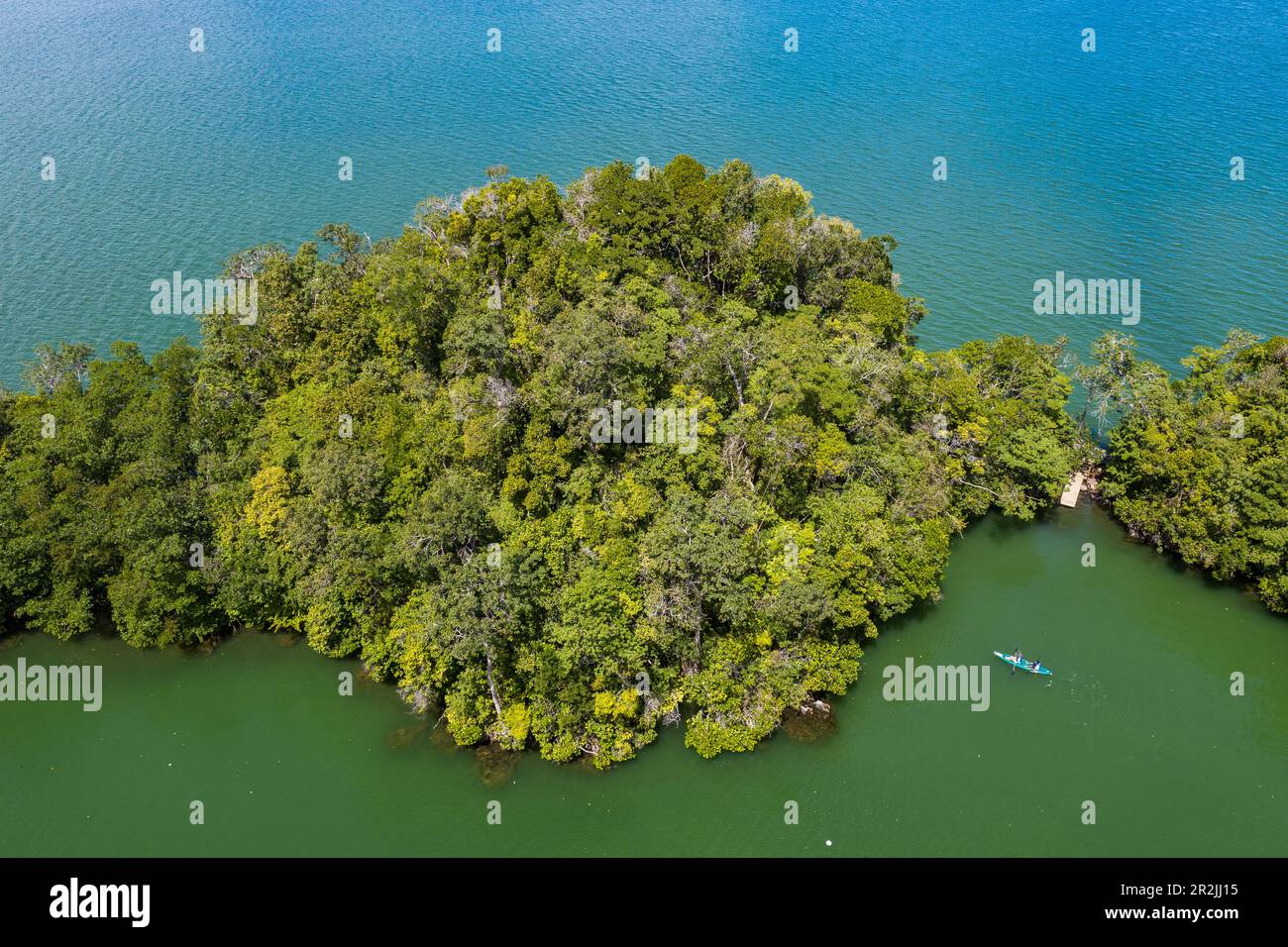 Aerial view of a sea kayak in Ensenada Verde Bay with rainforest, near ...