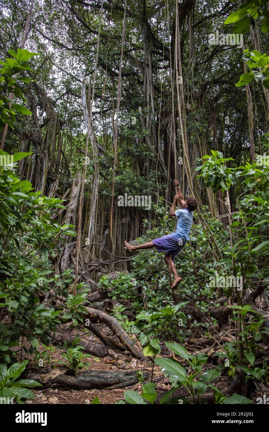 Giant lianas hi-res stock photography and images - Alamy