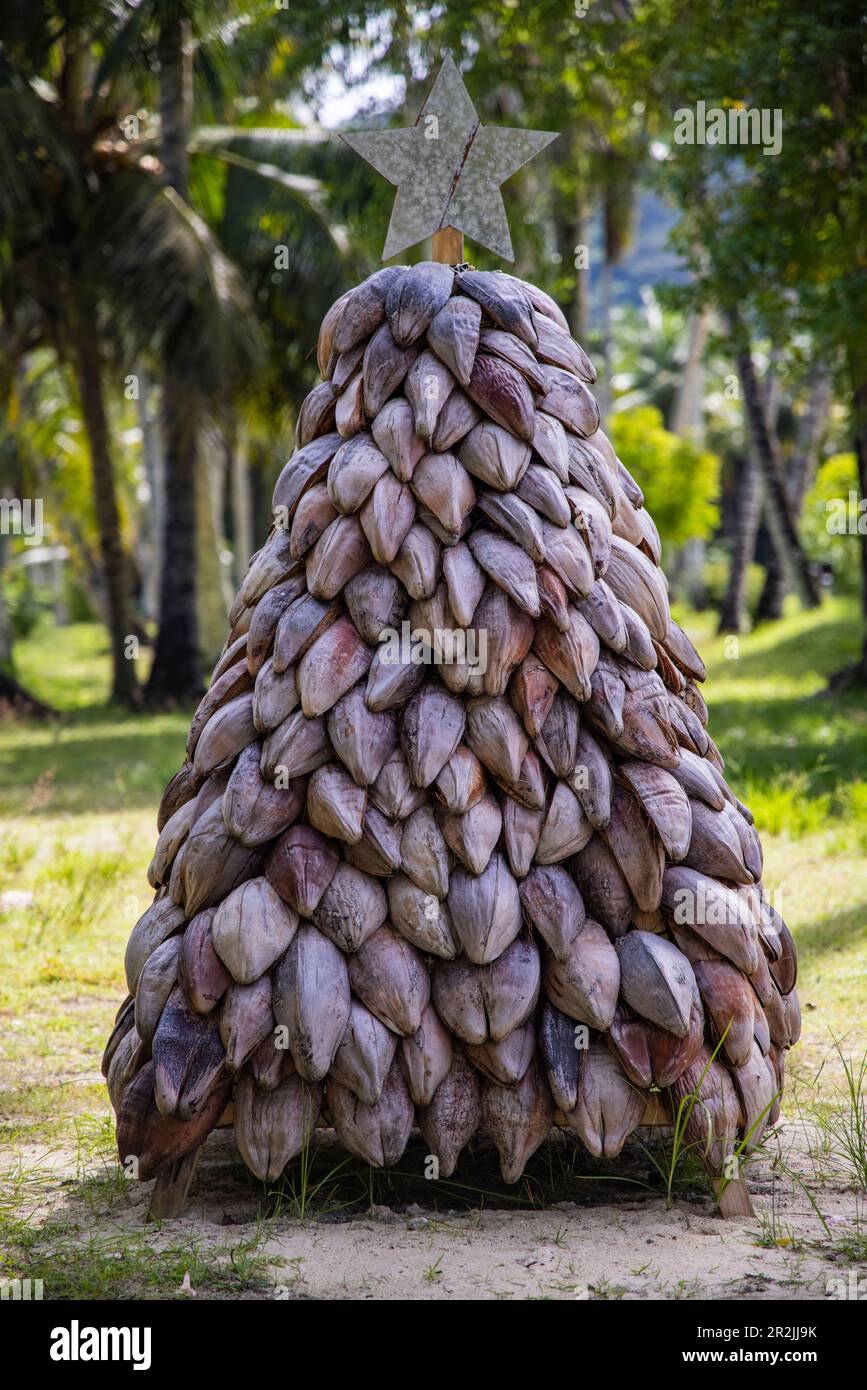 Coconut shell Christmas tree at L'Union Estate, La Digue Island ...