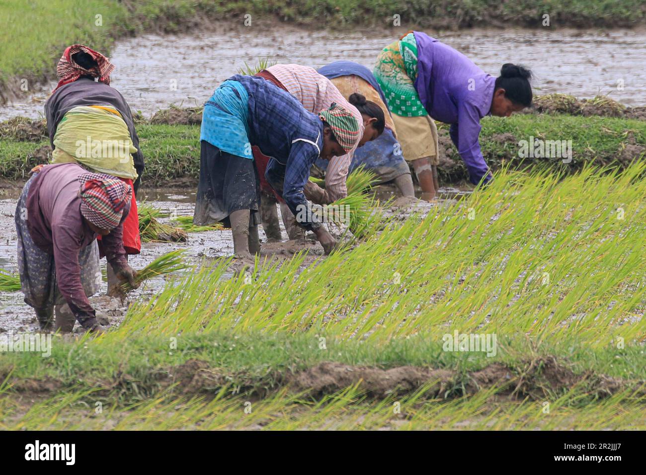 Rupa aman hi-res stock photography and images - Alamy