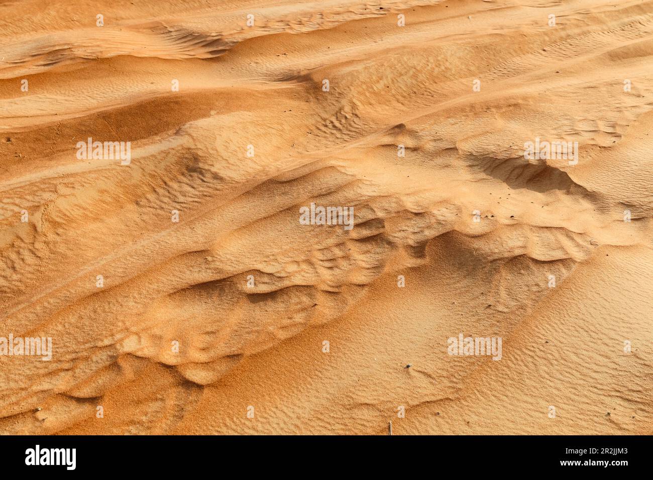 The wind forms artistic sand structures in the Wahiba Sands desert ...