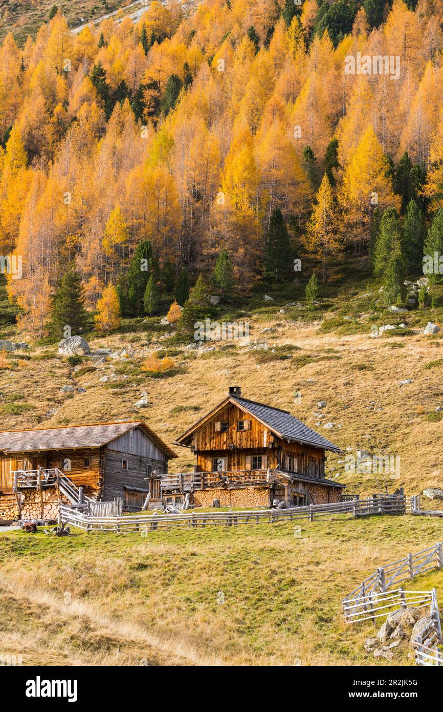 Staller Alm, Staller Saddle, Osttirol, Tyrol, Austria Stock Photo - Alamy