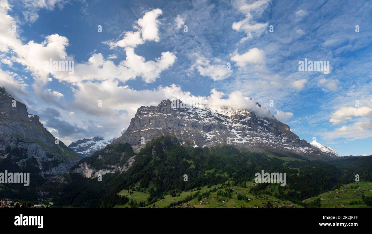 Eiger seen from Grindelwald, , Bernese Alps, Valais, Switzerland ...