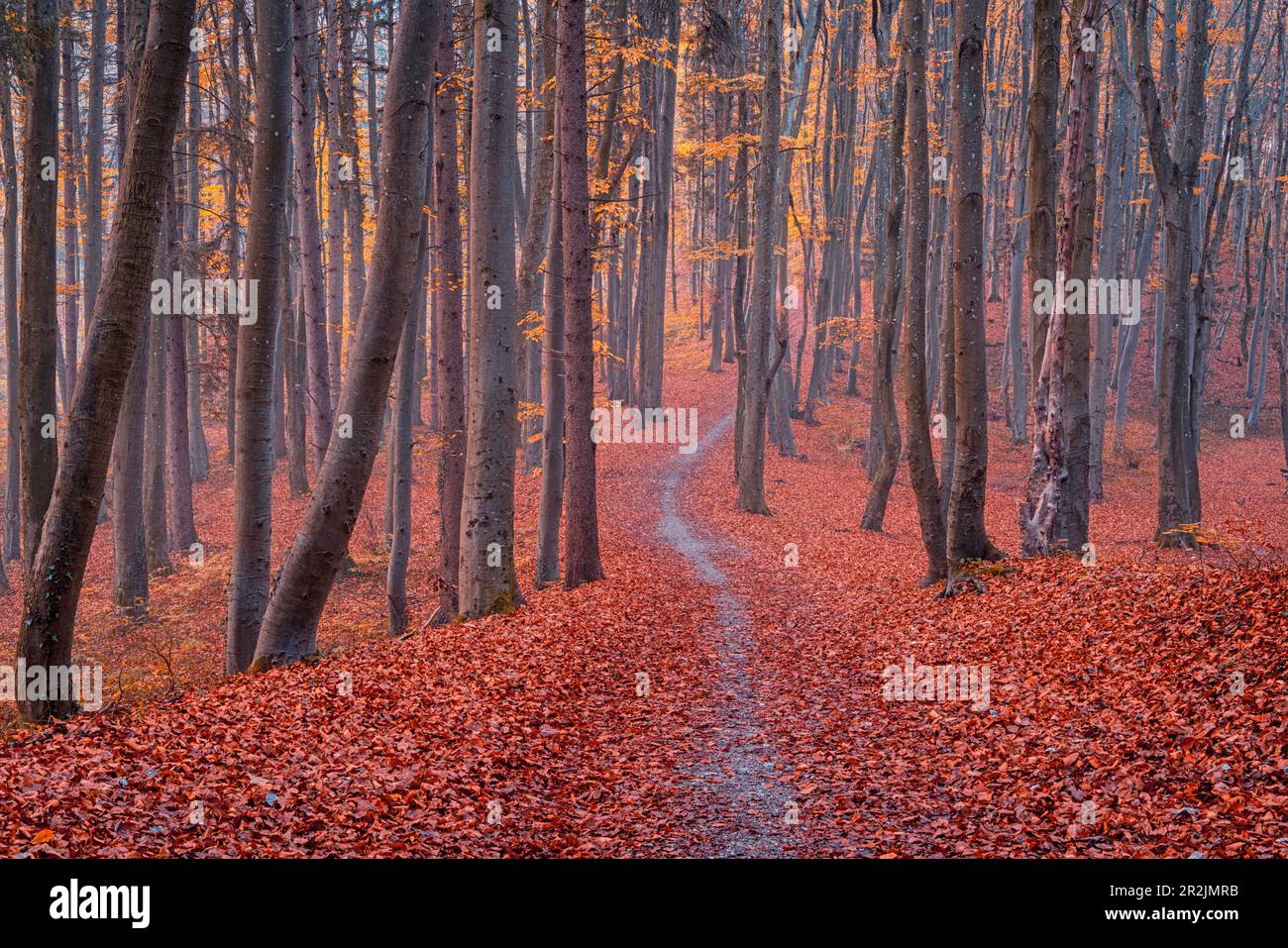The Andechser Höhenweg in November, Bavaria, Germany, Europe Stock ...