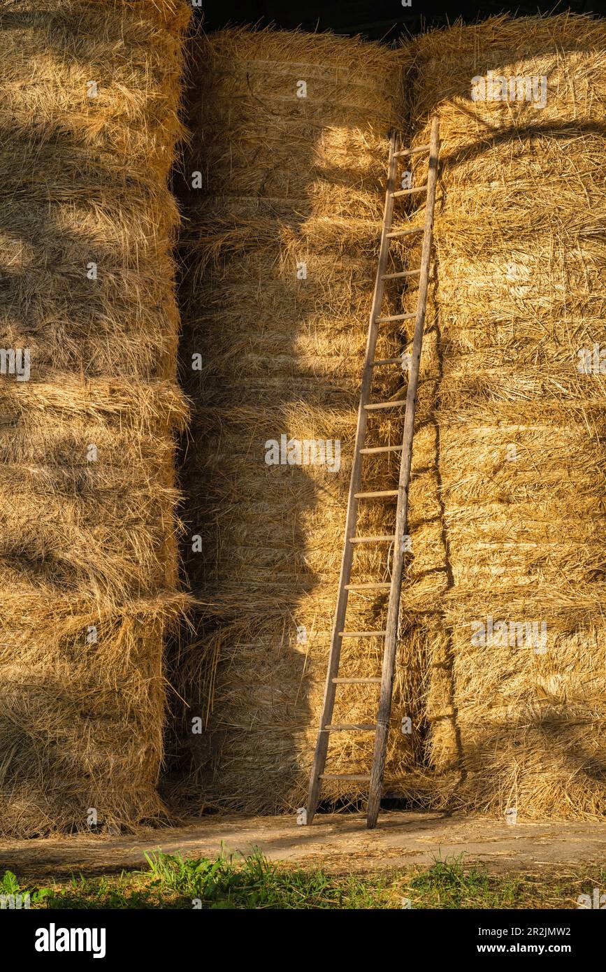 Straw barns hi-res stock photography and images - Alamy