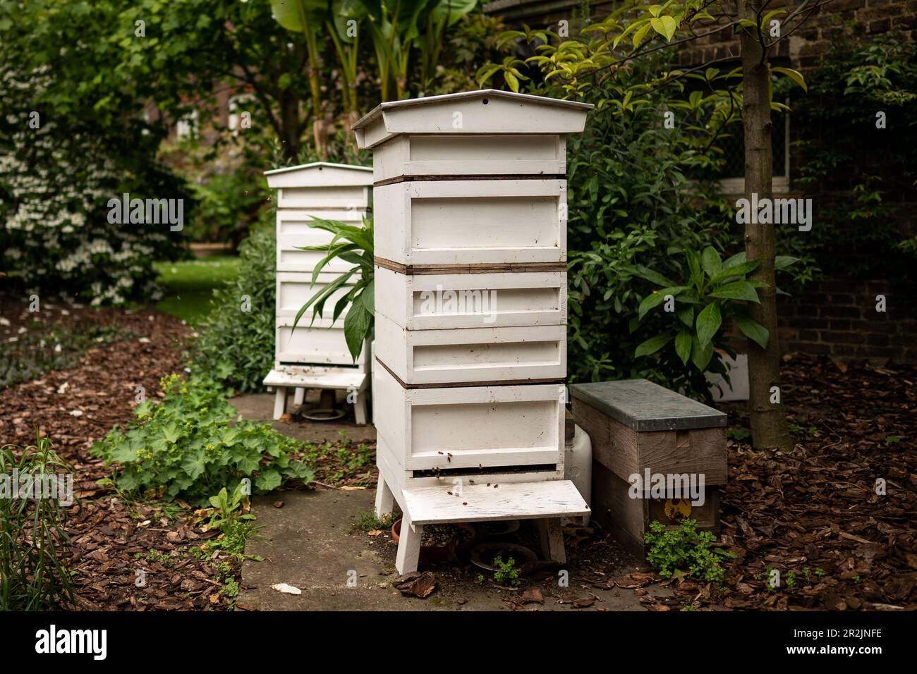 Bee hives in the gardens of Clarence House in London. Picture date ...