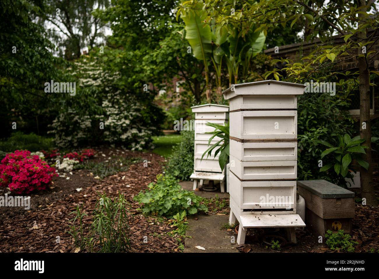 Bee hives in the gardens of Clarence House in London. Picture date ...