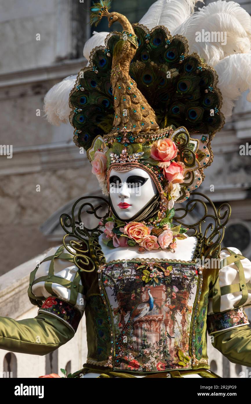 Character in carnival costume. Venice, Veneto, Italia Stock Photo - Alamy