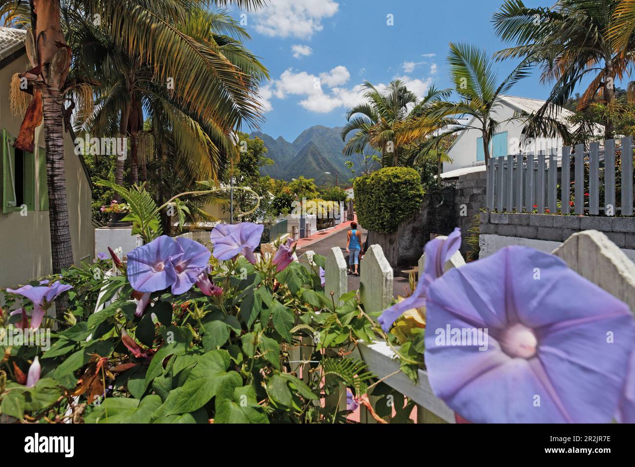 Entre-Deux is one of the most beautiful creole villages of La Reunion ...