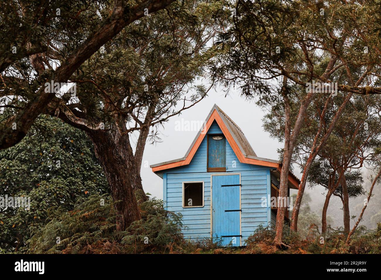 Small garden shed in creole colours, Maido, La Reunion, Indian Ocean ...