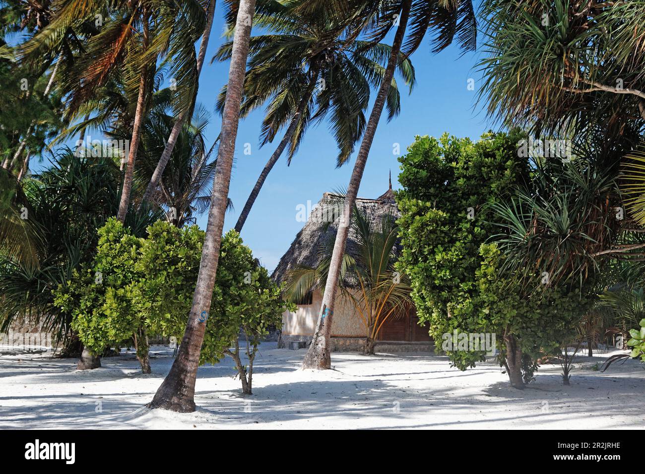 Traditional beach houses at Santa Maria Coral Park Hotel on the beach ...