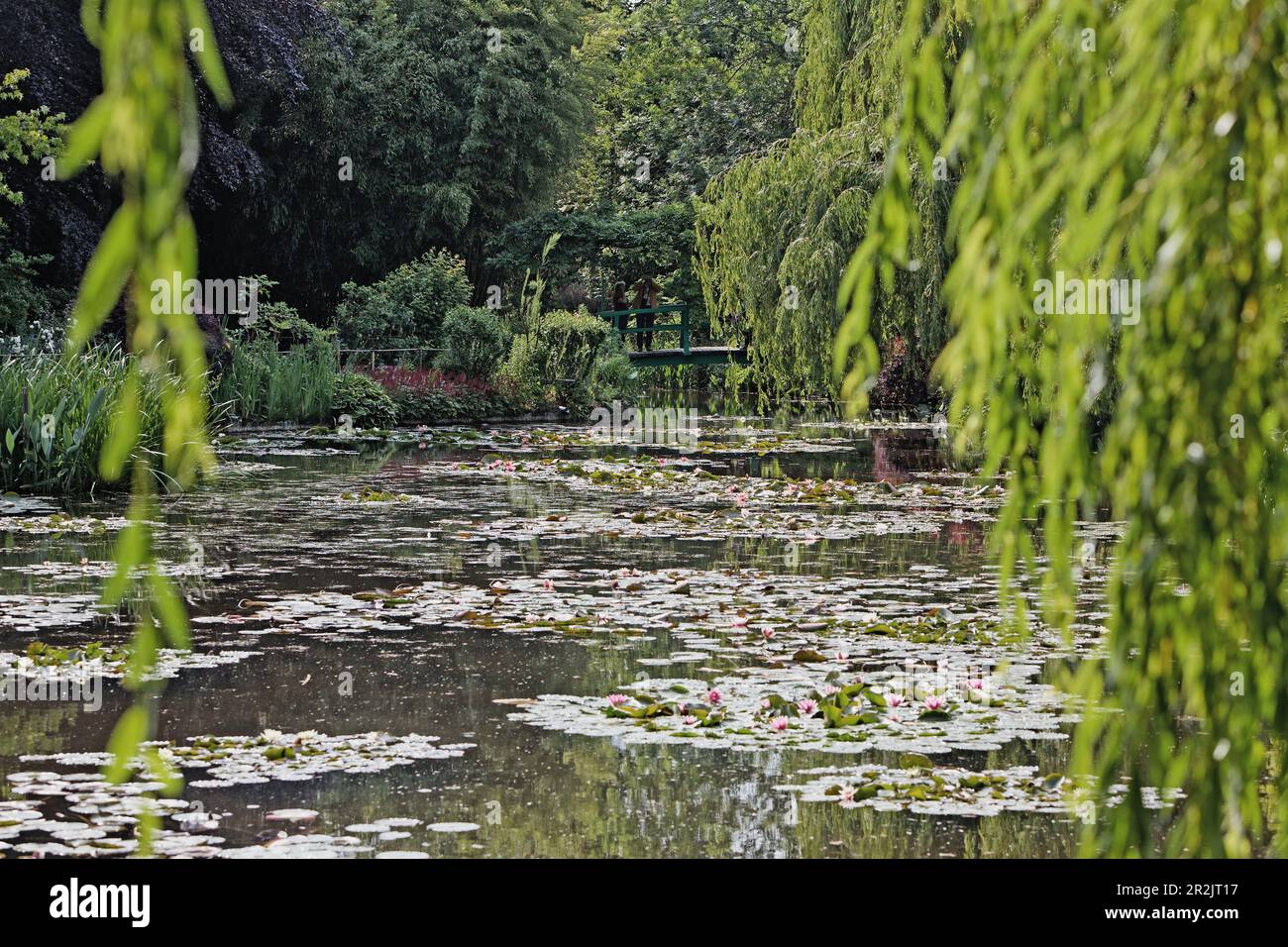 Pond with water lilies in Claude Monet's garden in Giverny, Eure ...